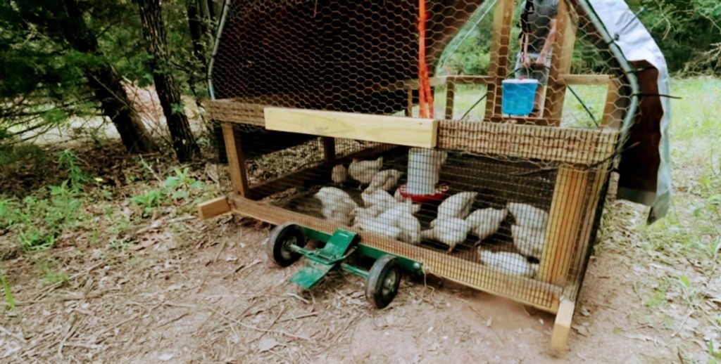 Wide Track ChickLift – (8-10ft wide coops) – FREE SHIPPING