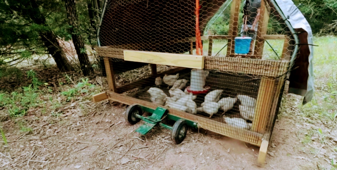 Wide Track ChickLift – (8-10ft wide coops) – FREE SHIPPING