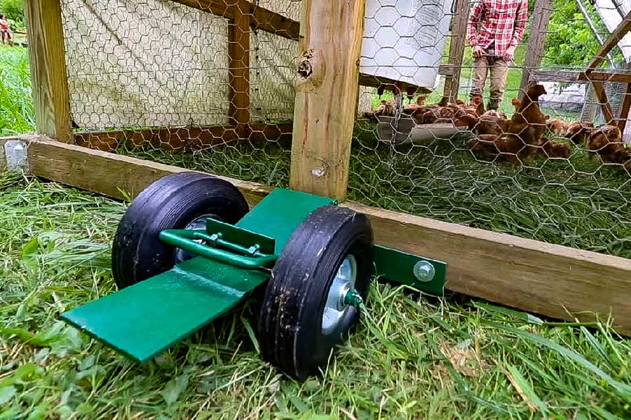 The Original ChickLift – FREE SHIPPING