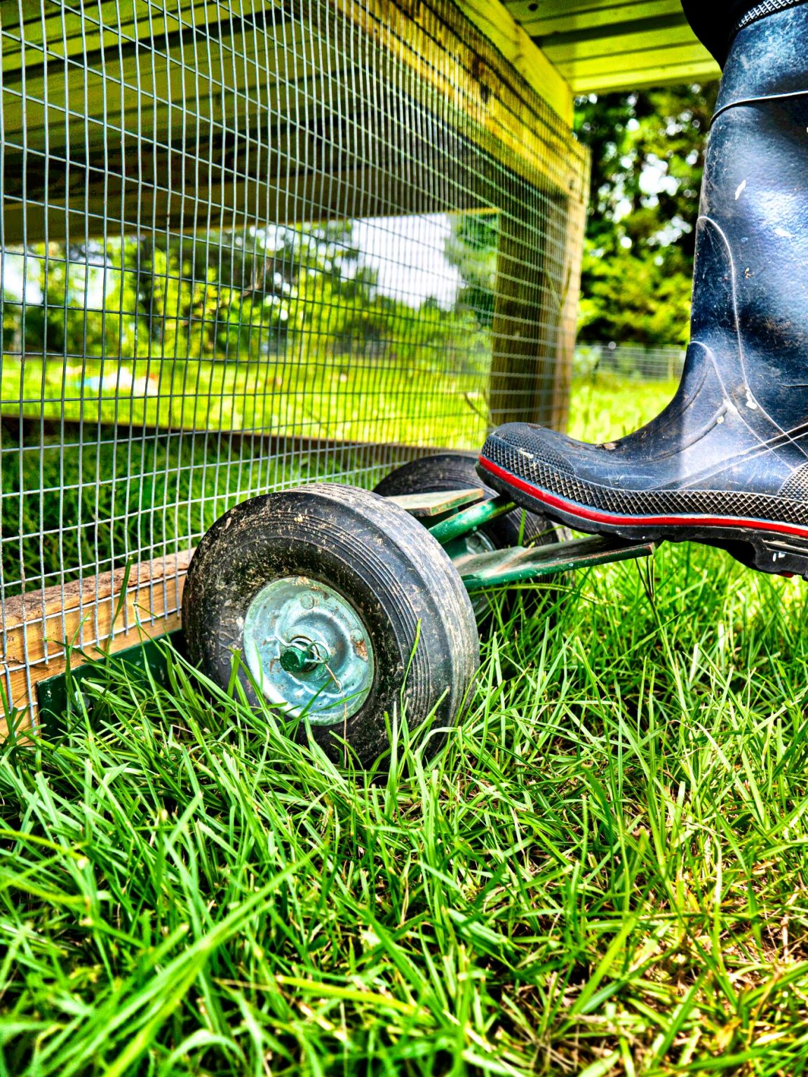 The Original ChickLift – FREE SHIPPING